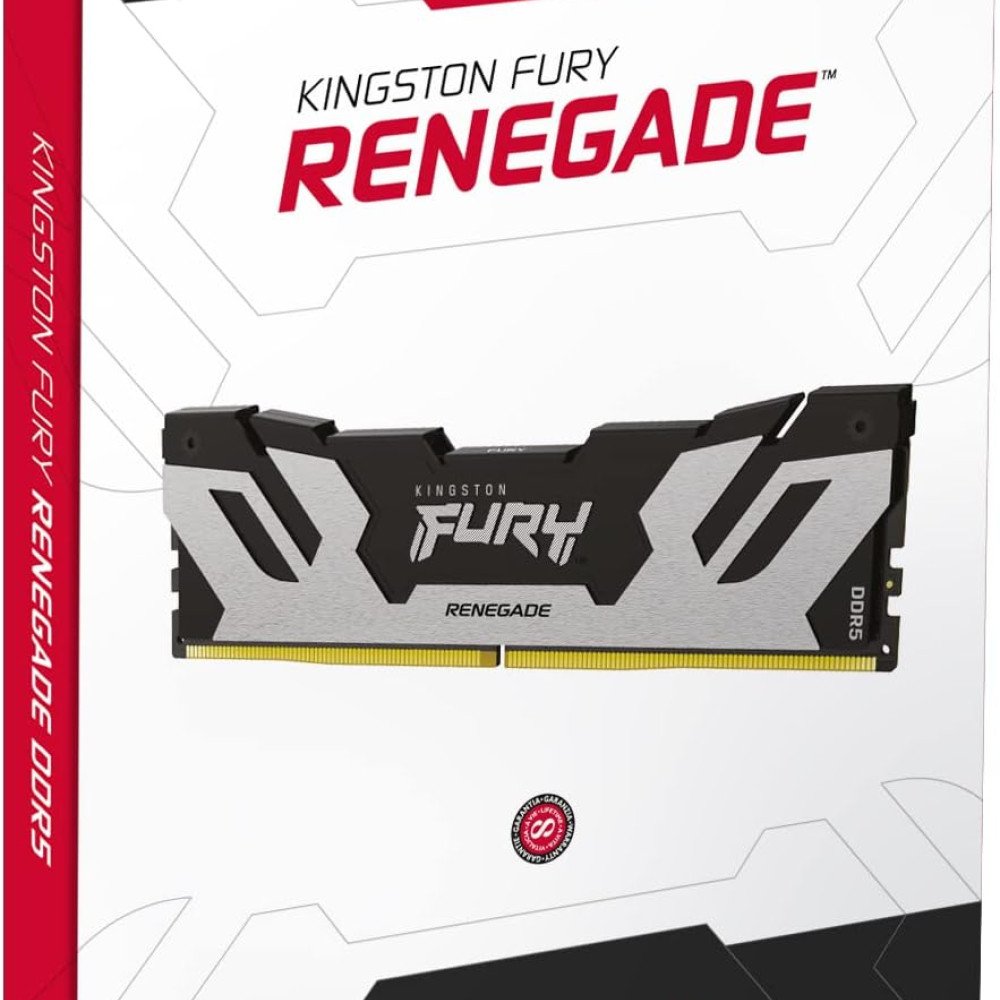 Memoria Ram Kingston Fury Renegade Silver 48Gb 6400 Mhz DDR5